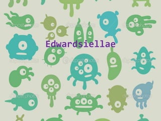 Cute Microbiology Wallpaper
