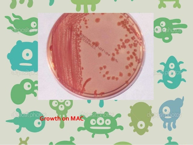 Microbiology - Enterics ( Citrobacter, Edwardsiella, & Arizonae )