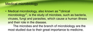 Microbiology 1st lecture | PPT