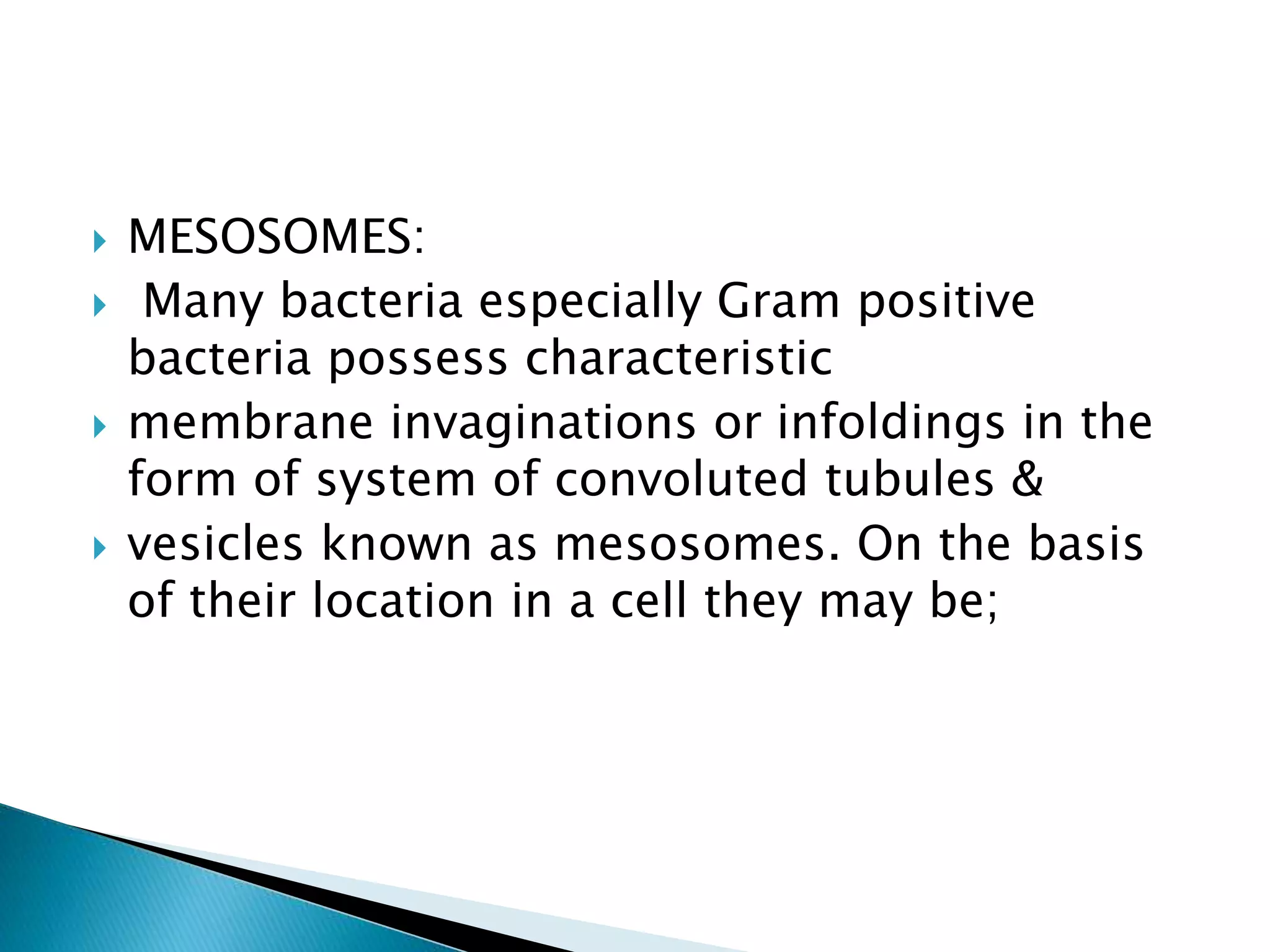microbiology 2.pptx