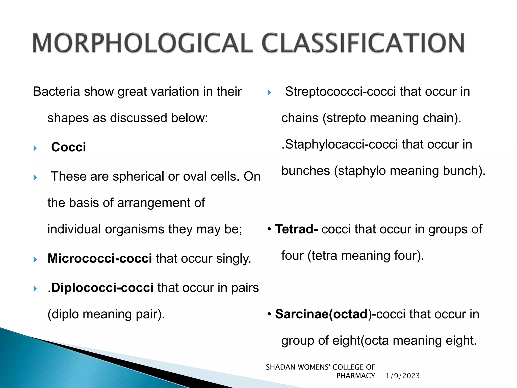 microbiology 2.pptx