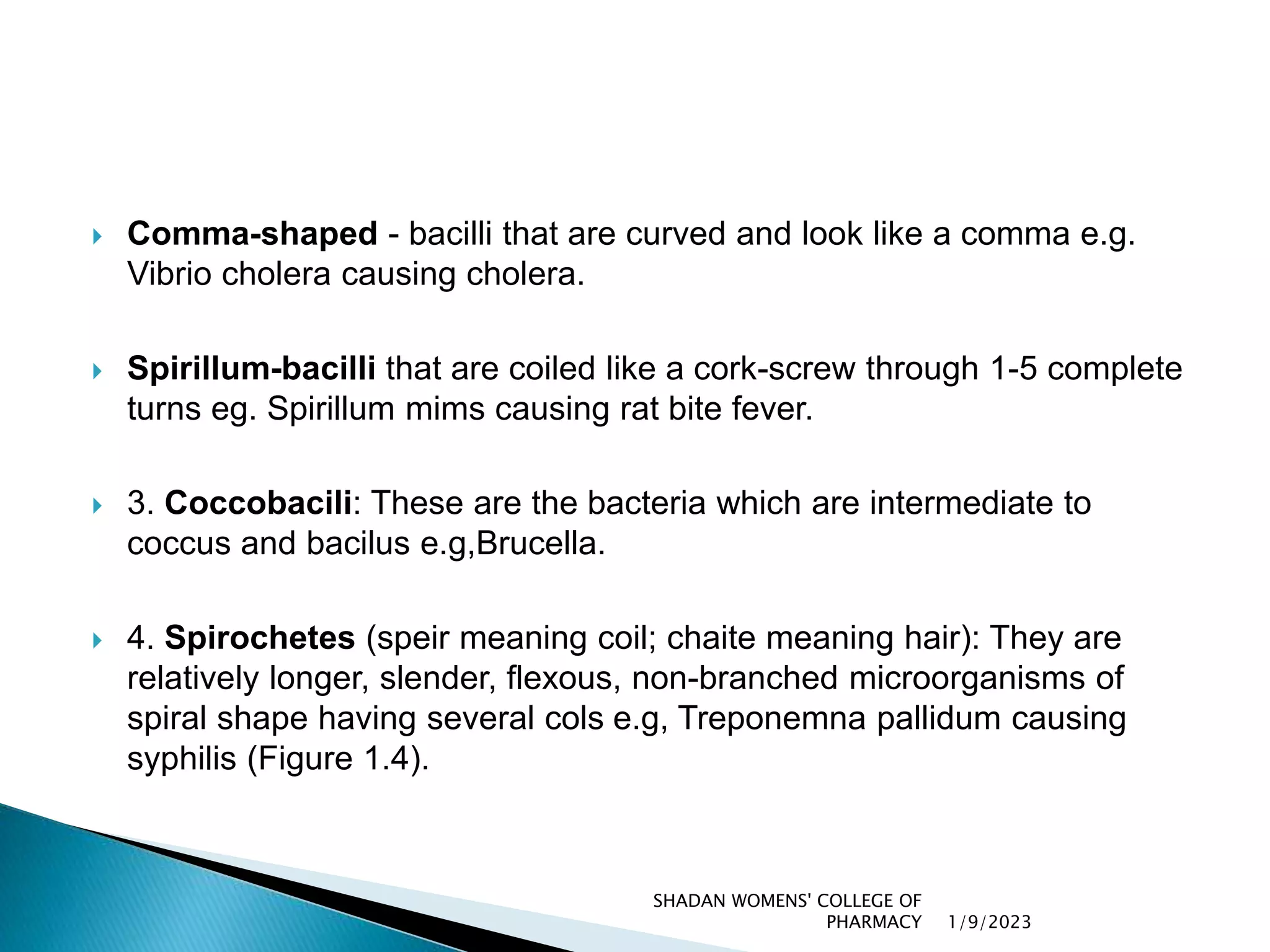 microbiology 2.pptx