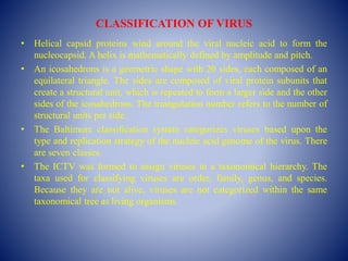 Virology - Basic Idea & Classification | PDF