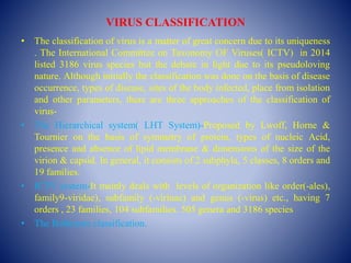Virology - Basic Idea & Classification | PDF