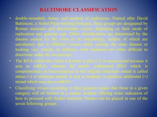 Virology - Basic Idea & Classification | PDF