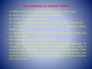 Virology - Basic Idea & Classification | PDF | Science