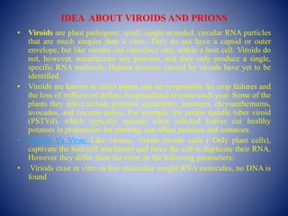 Virology - Basic Idea & Classification | PDF