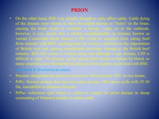 Virology - Basic Idea & Classification | PDF