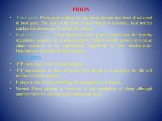 Virology - Basic Idea & Classification | PDF
