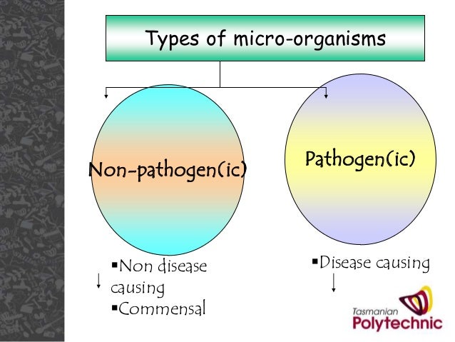 Microbiology 2009