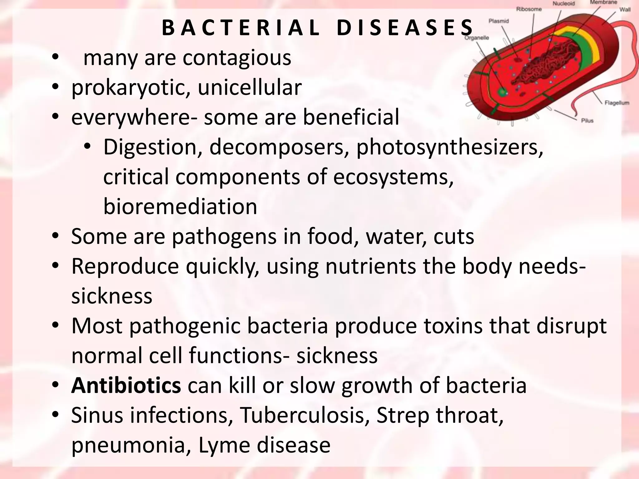 Microbiology2 Pathogens: Notes on spread of infectious disease | PPTX