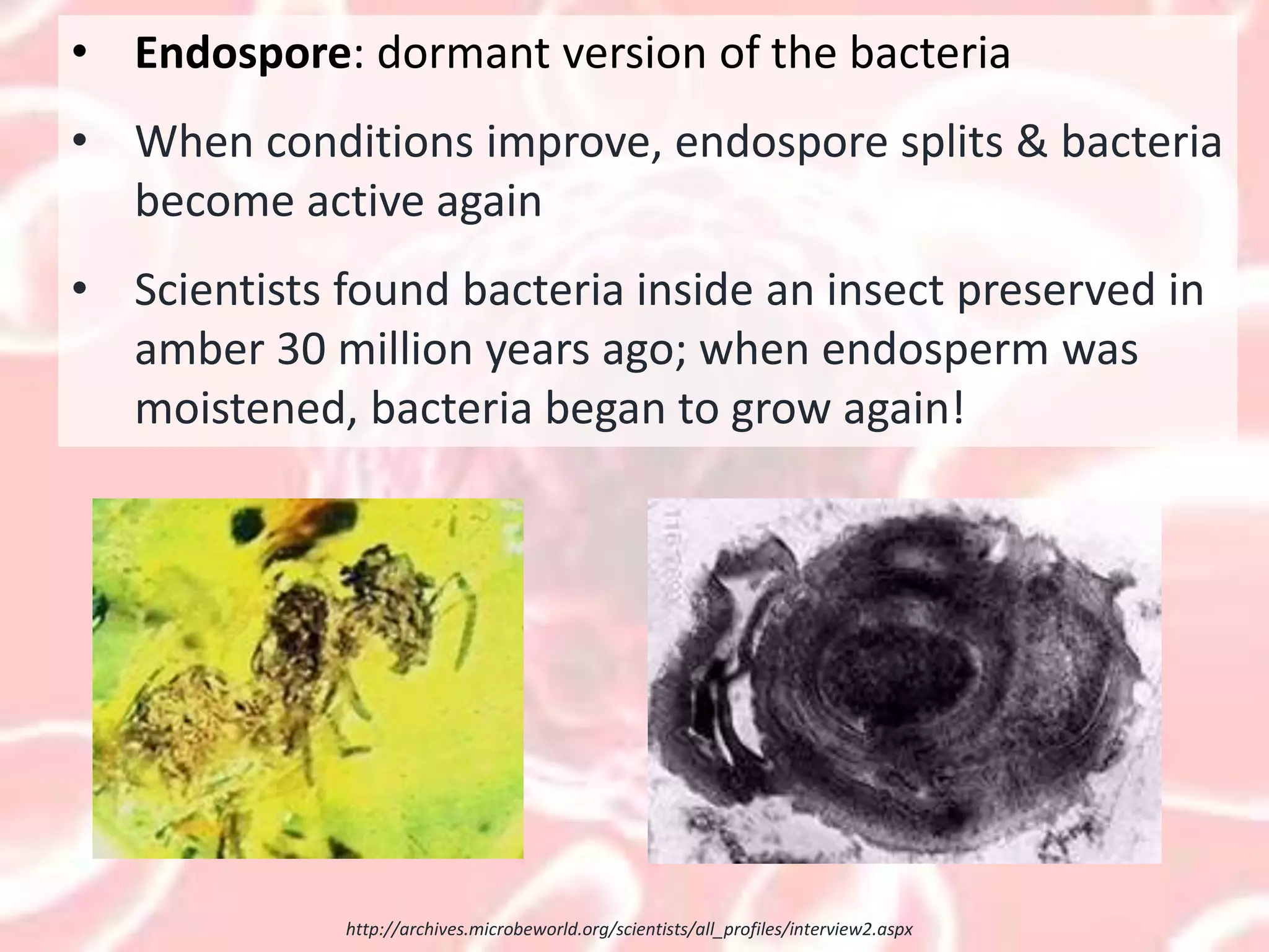 Microbiology2 Pathogens: Notes on spread of infectious disease | PPTX