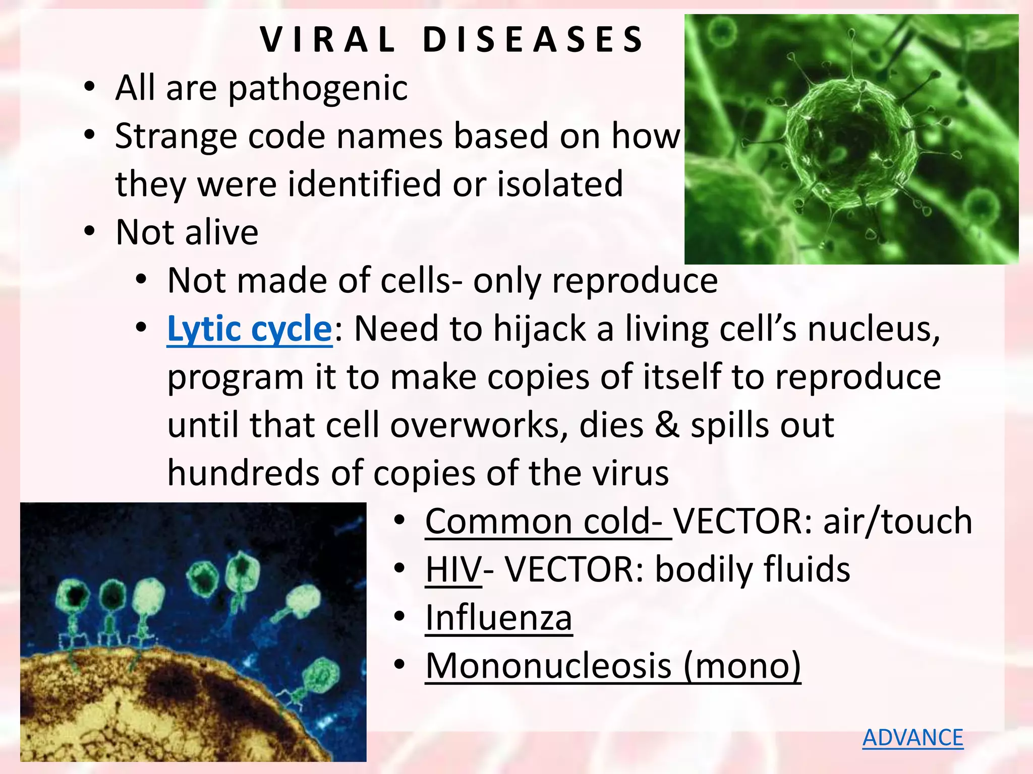 Microbiology2 Pathogens: Notes on spread of infectious disease | PPT ...