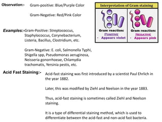 Microbiology 2 unit (1).pptx | Biological Sciences | Science