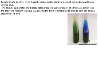 Microbiology 2 unit (1).pptx | Biological Sciences | Science