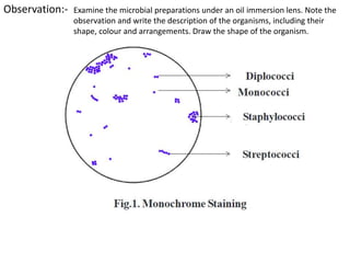 Microbiology 2 unit (1).pptx | Biological Sciences | Science
