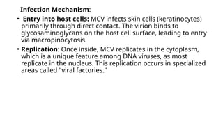 Microbiology 3 group 2 Question 4-1-1.pptx