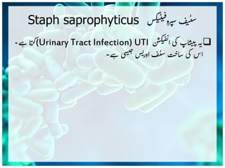 Microbiology 4 | PPTX