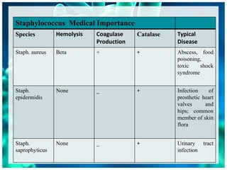 Microbiology 4 | PPTX
