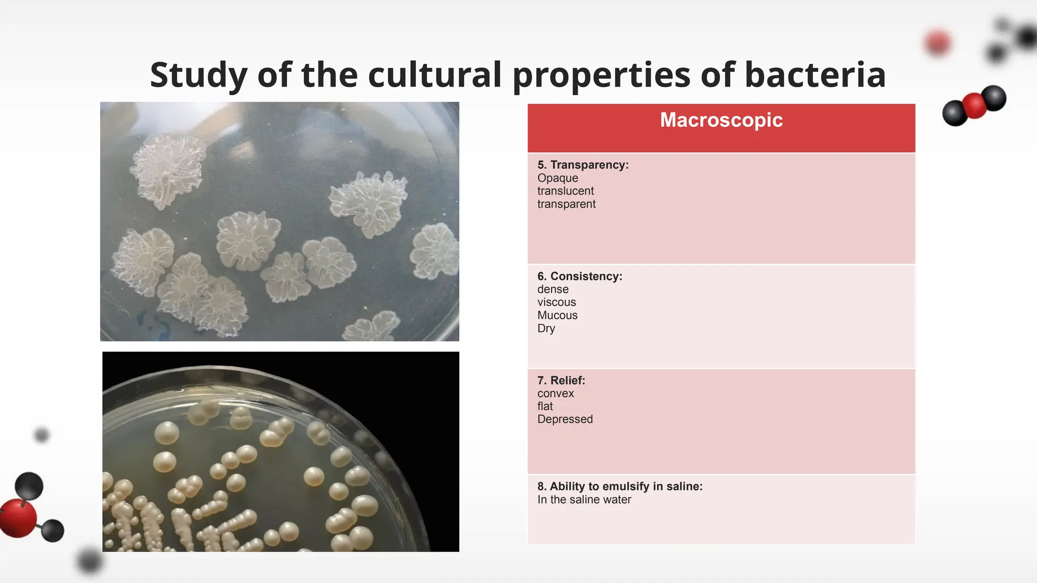 Microbiology 4.pptx microbilooooogy microb | PPTX