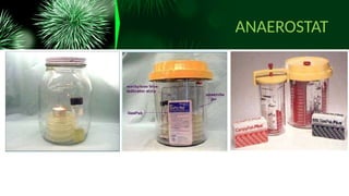Microbiology 5.pptx microb microb ologyy | PPT