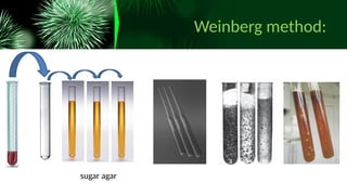 Microbiology 5.pptx microb microb ologyy | PPT
