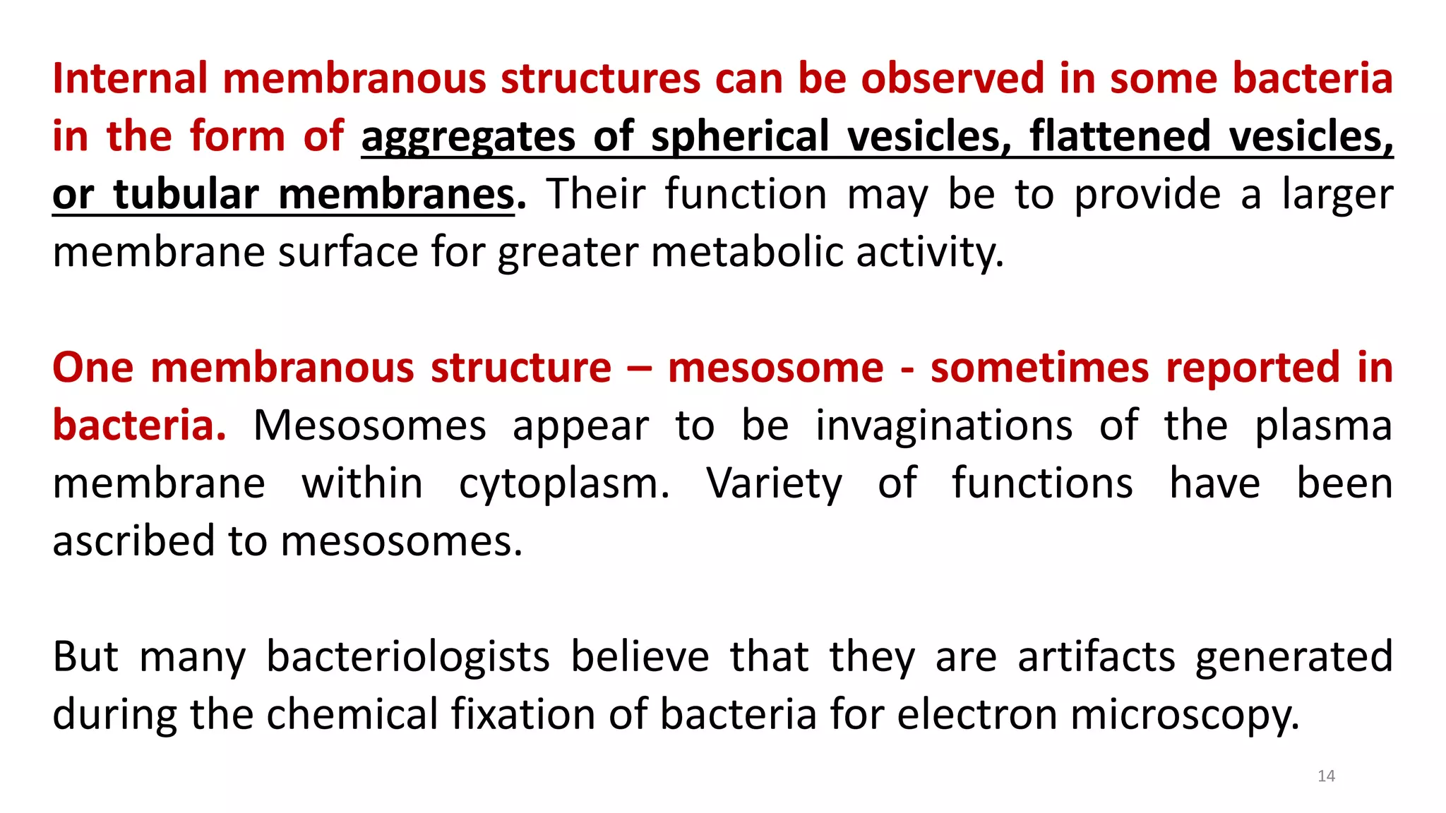 Microbiology 5 - Microbial Structures - Cell Membrane, Ribosome.pdf