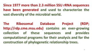 Microbiology 5 - Microbial Structures - Cell Membrane, Ribosome.pdf ...