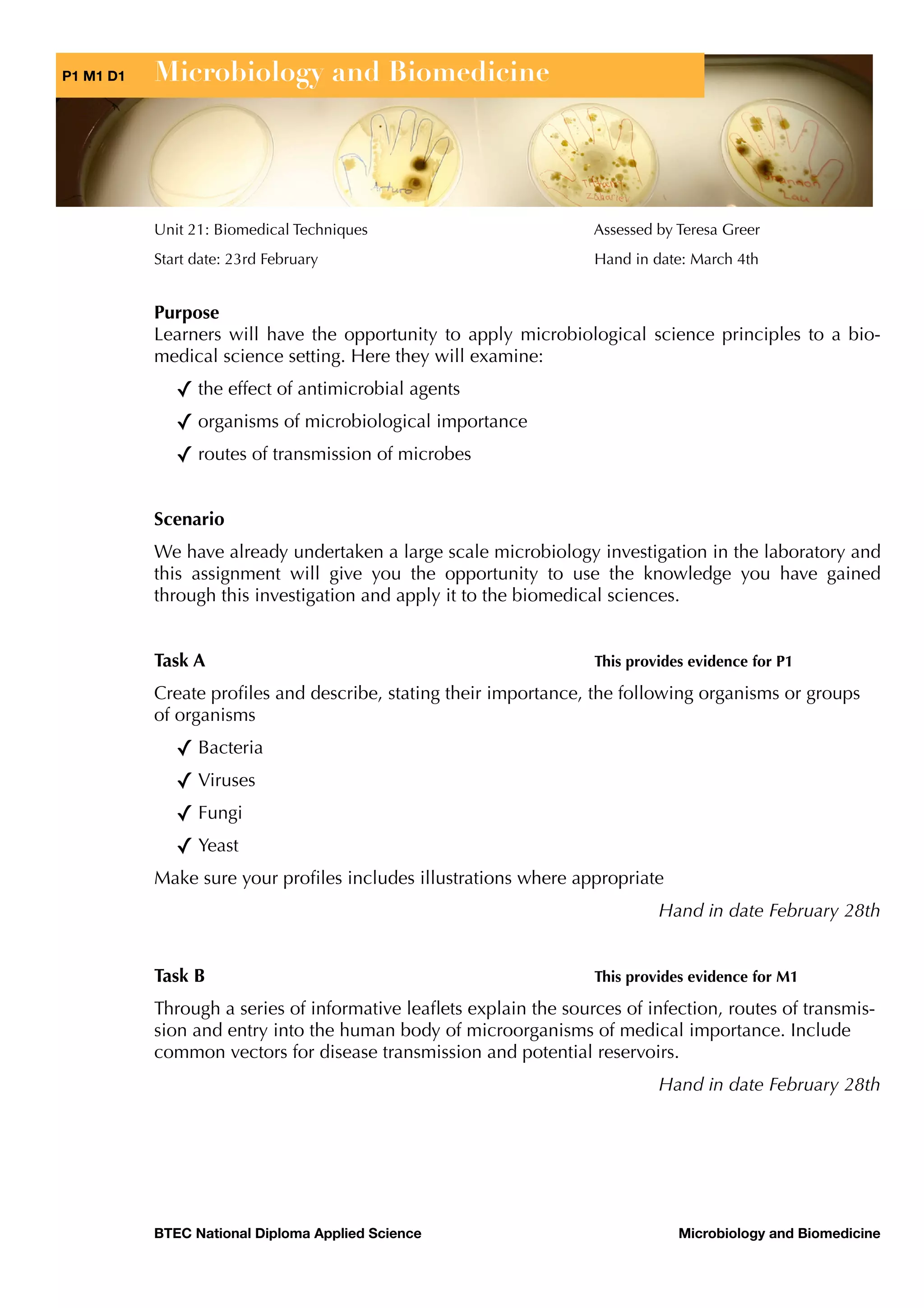 Microbiology And Biomedicine Assignment | PDF