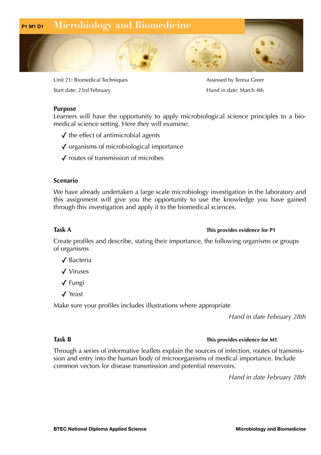 Microbiology And Biomedicine Assignment | PDF
