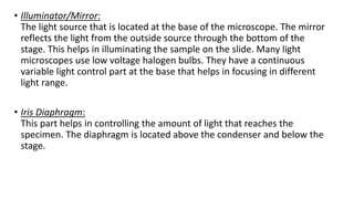 Microbiology and its History.pptx