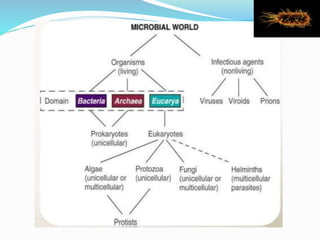Microbiology and Microbial Diversities | PPTX