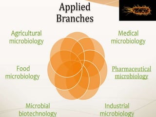 Microbiology and Microbial Diversities | PPTX