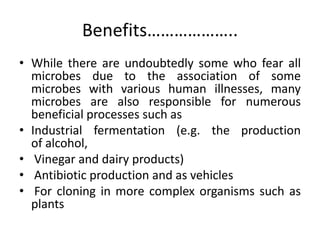 Microbiology and modren world | PPTX | Chemistry | Science