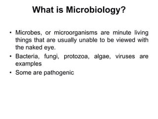 Microbiology and modren world | PPT