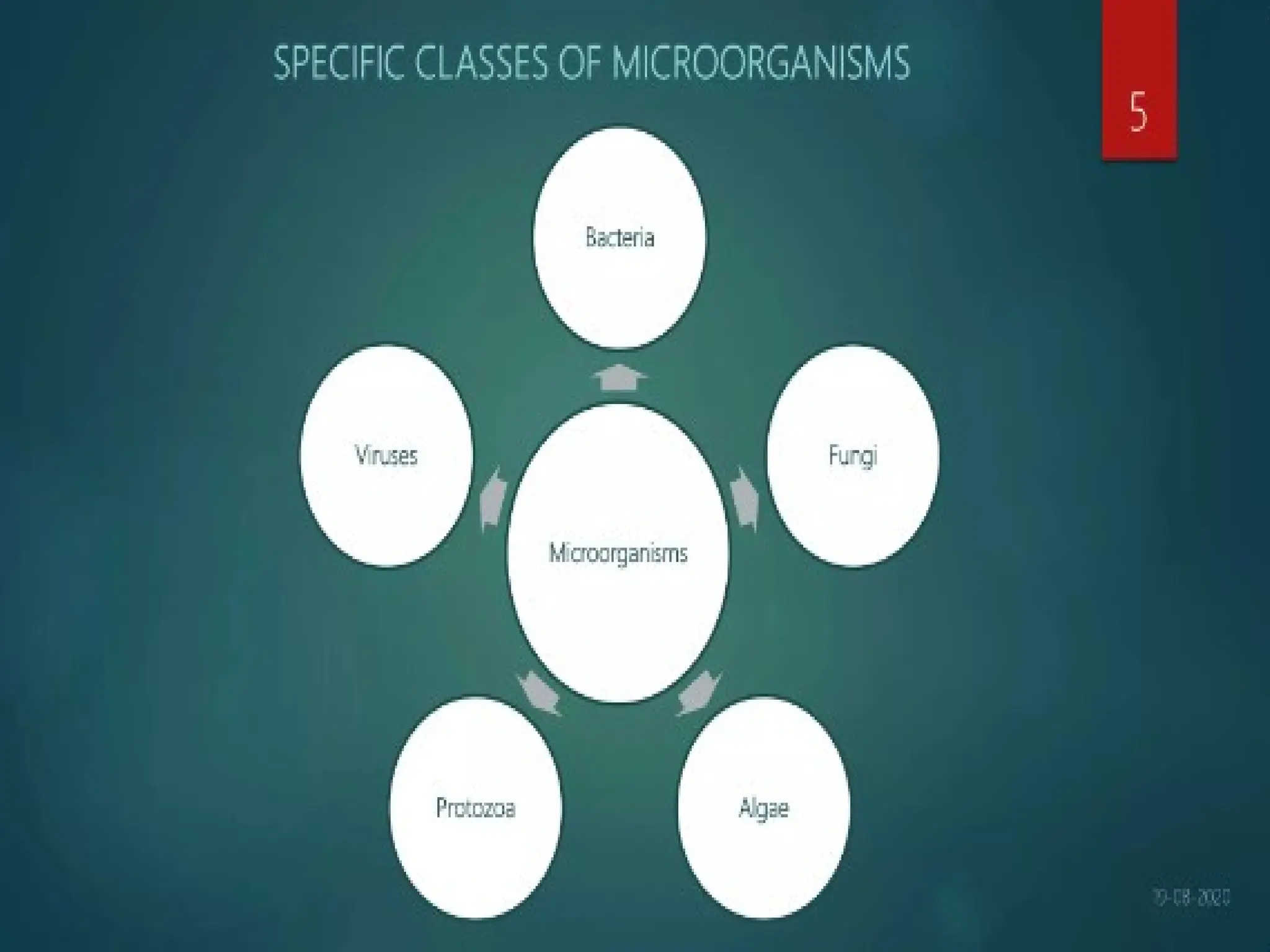 introduction of microbiology and nursing.pptx