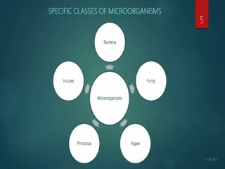 introduction of microbiology and nursing.pptx