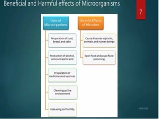 introduction of microbiology and nursing.pptx