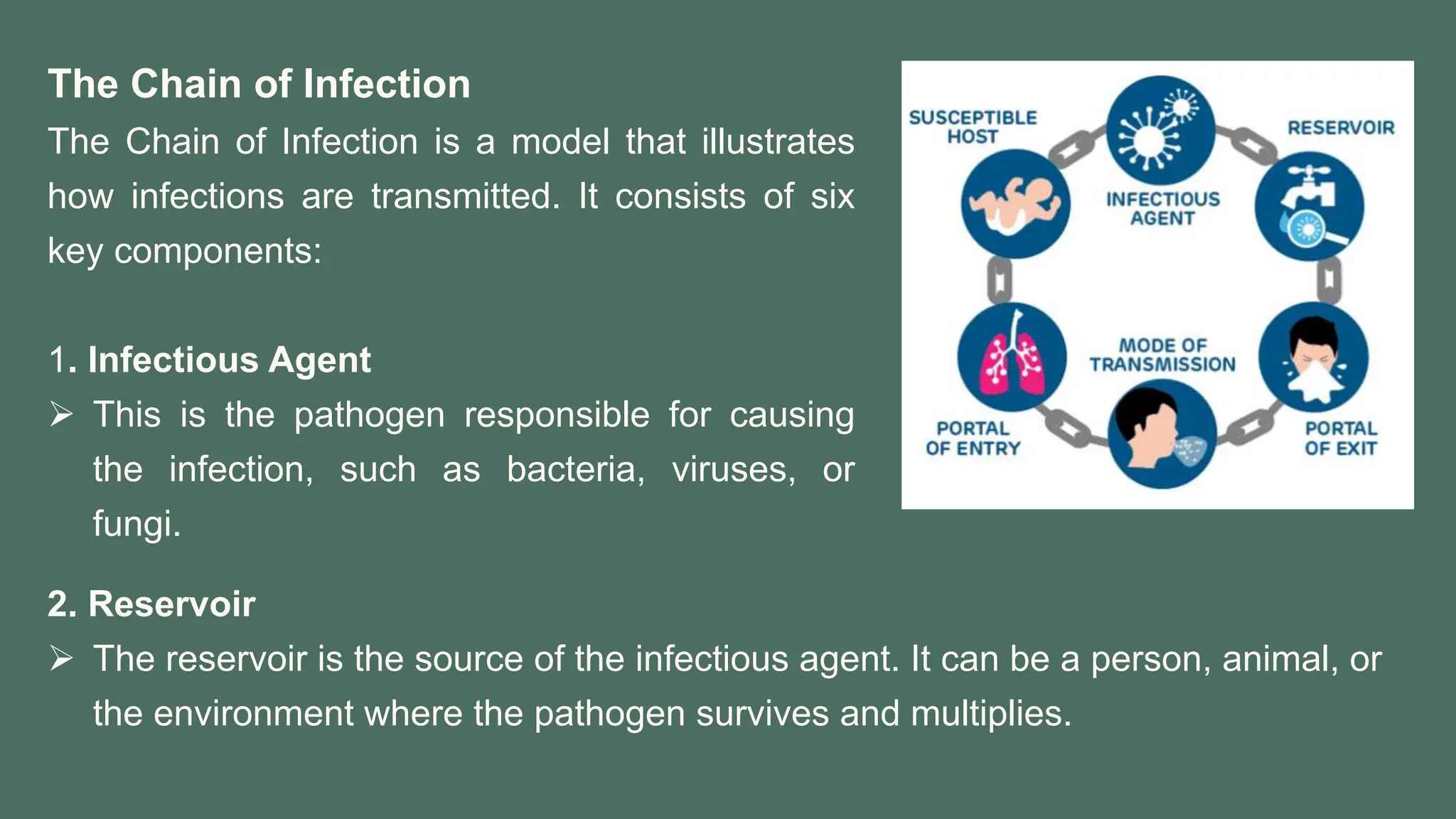 Microbiology and Parasitology (Chain of Infection).pptx