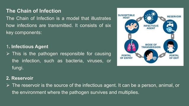 Microbiology and Parasitology (Chain of Infection).pptx