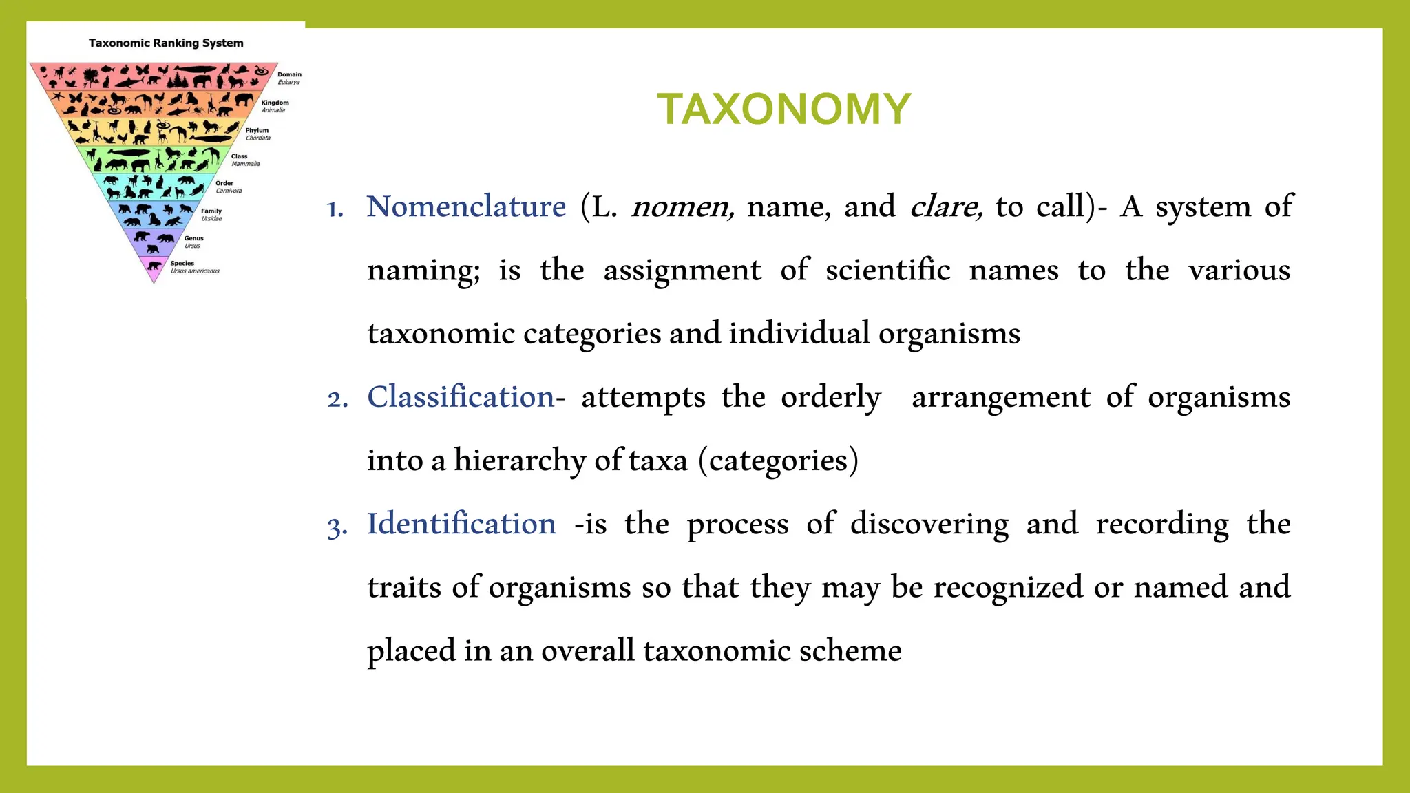 Microbiology and Parasitology Lesson 2- Taxonomy, Origin and Evolution ...