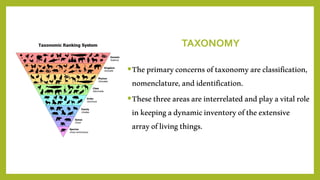 Microbiology and Parasitology Lesson 2- Taxonomy, Origin and Evolution ...