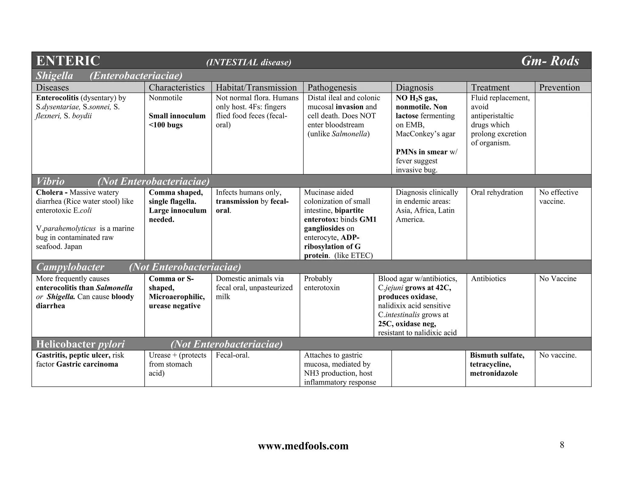 Microbiology and parasitology summary and charts (1).pdf