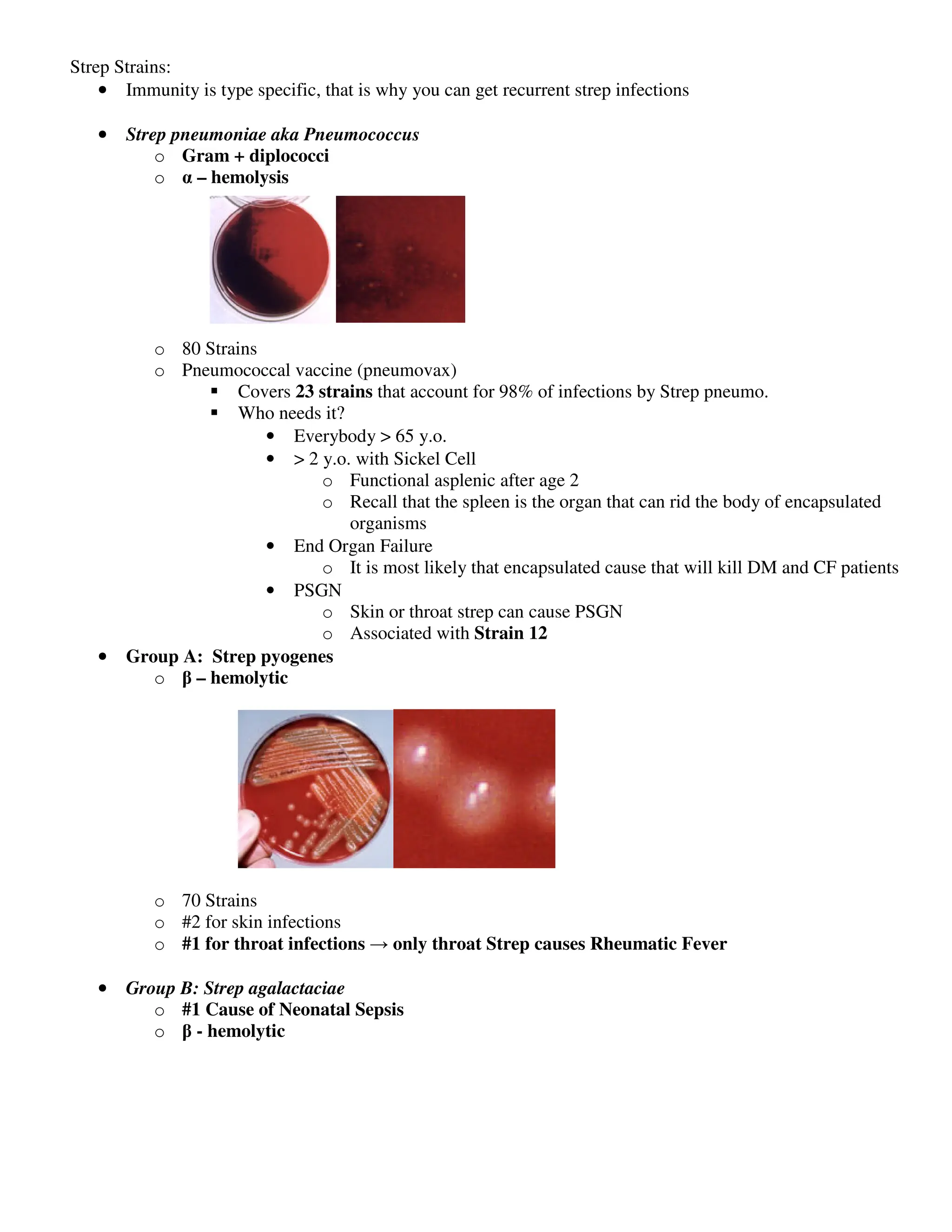 Microbiology and parasitology summary and charts (1).pdf