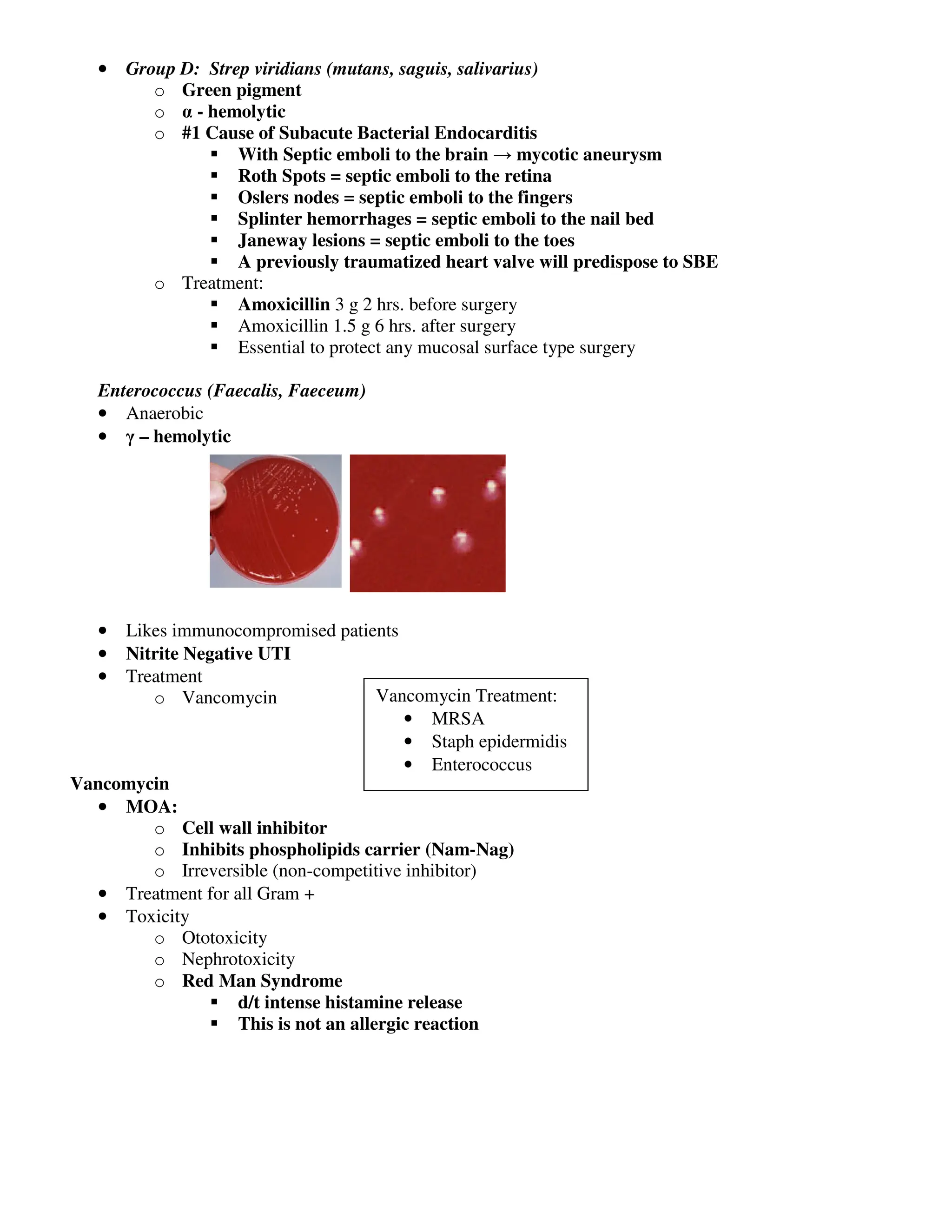 Microbiology and parasitology summary and charts (1).pdf