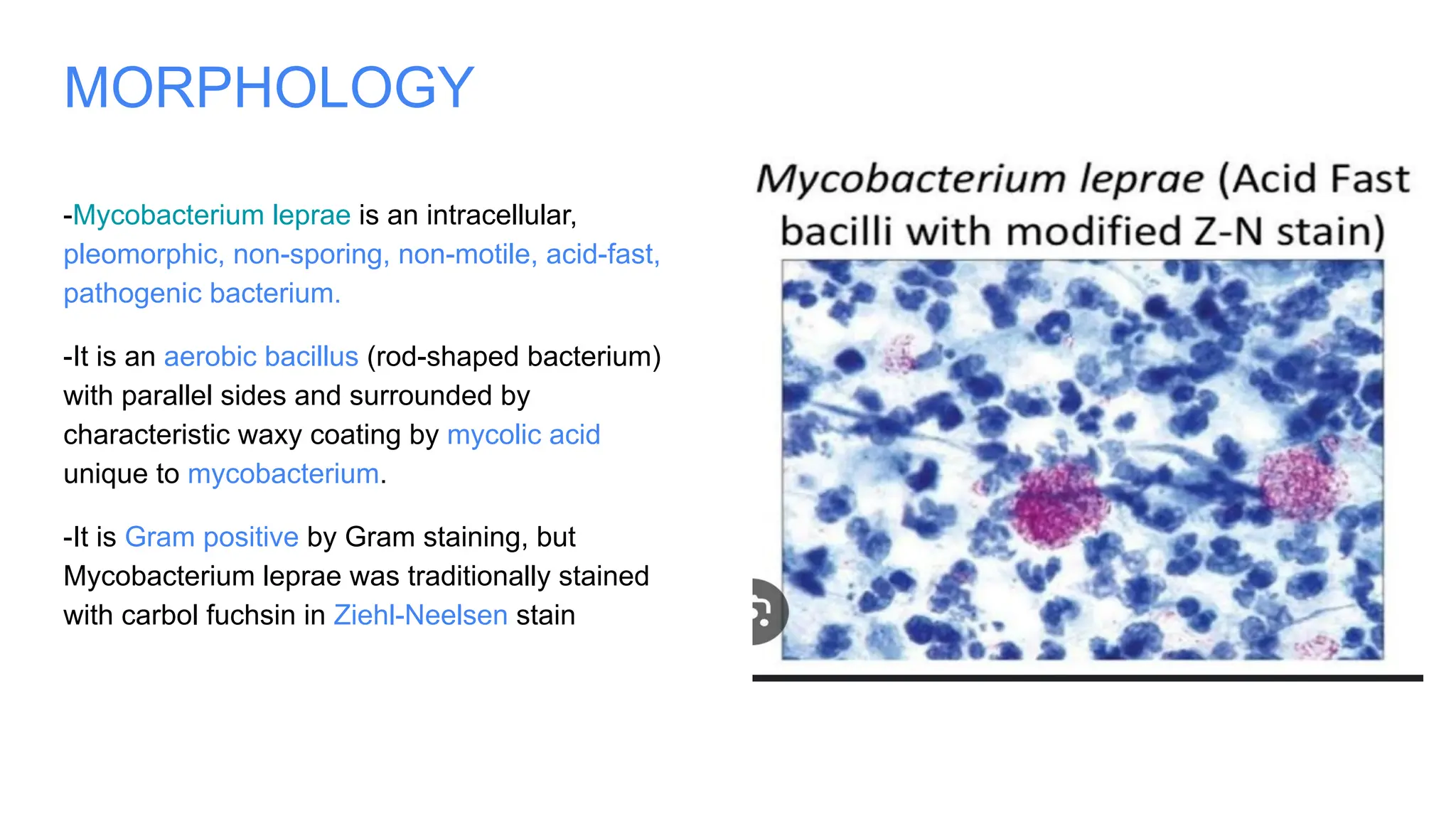 Microbiology and pathology of Leprosy .pdf