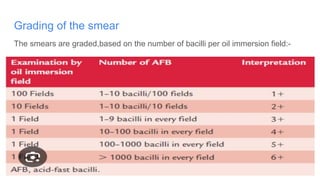 Microbiology and pathology of Leprosy .pdf