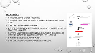 Microbiology (Ankit and Rekha).pdf