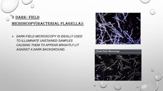 Microbiology (Ankit and Rekha).pdf