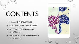 Microbiology (Ankit and Rekha).pdf